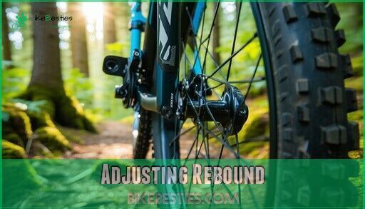 Mountain Bike Fork Suspension Guide: Setup, Types & Best Models 2025