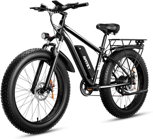 Electric Bike Reviews for Heavy Riders: Top 10 Strong E-Bikes 2025