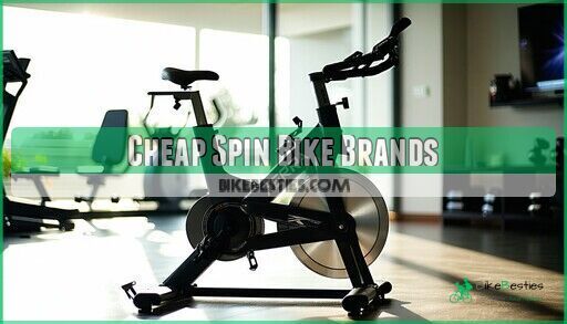 Spin Bike Cheaper Alternatives: Best Budget Options Under $500 2025