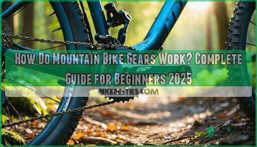 How Do Mountain Bike Gears Work? Complete Guide for Beginners 2025