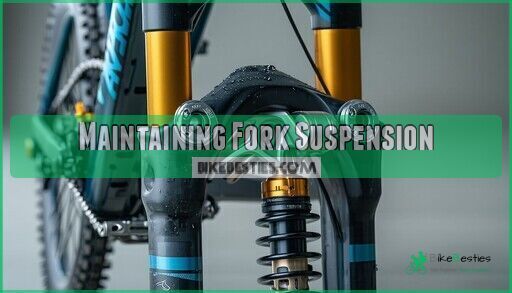 Mountain Bike Fork Suspension Guide: Setup, Types & Best Models 2025