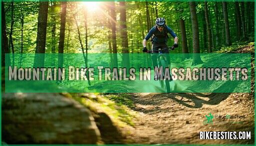 Easy Flowy MTB Trails: Top USA Flow Trails for Smooth Riding