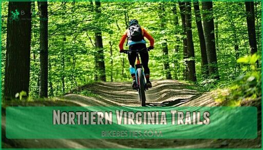 Easy Flowy MTB Trails: Top USA Flow Trails for Smooth Riding