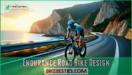 Endurance Road Bikes for High Speed Long Distance Racing: Top Picks 2025