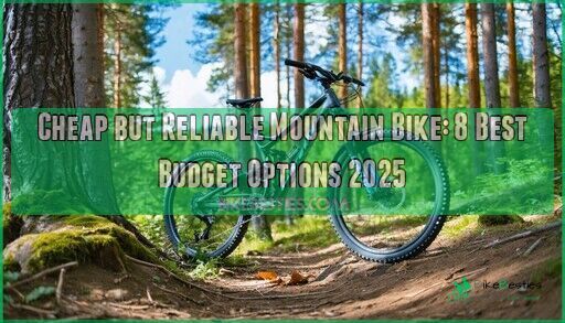 Cheap but Reliable Mountain Bike: 8 Best Budget Options 2025