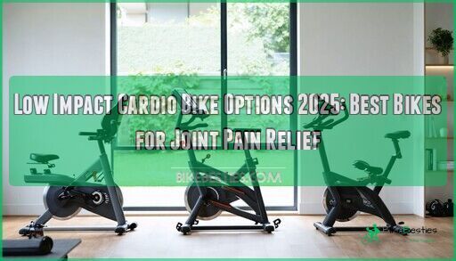 Low Impact Cardio Bike Options 2025: Best Bikes for Joint Pain Relief