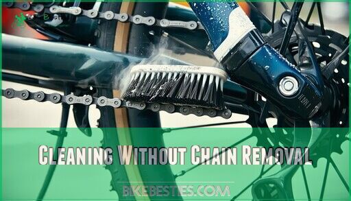 How to Spot Clean a Bike Chain: Step-by-Step Guide (2025)
