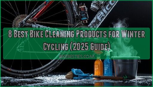 8 Best Bike Cleaning Products for Winter Cycling (2025 Guide)