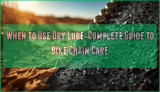 When to Use Dry Lube: Complete Guide to Bike Chain Care